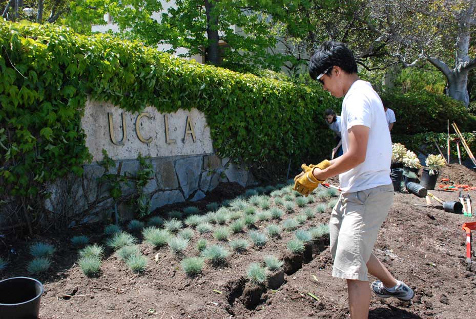 sarteam-52110 | UCLA Prison Education Program